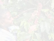 Annual exhibitions and trade fairs – Agricultural Society of Kenya